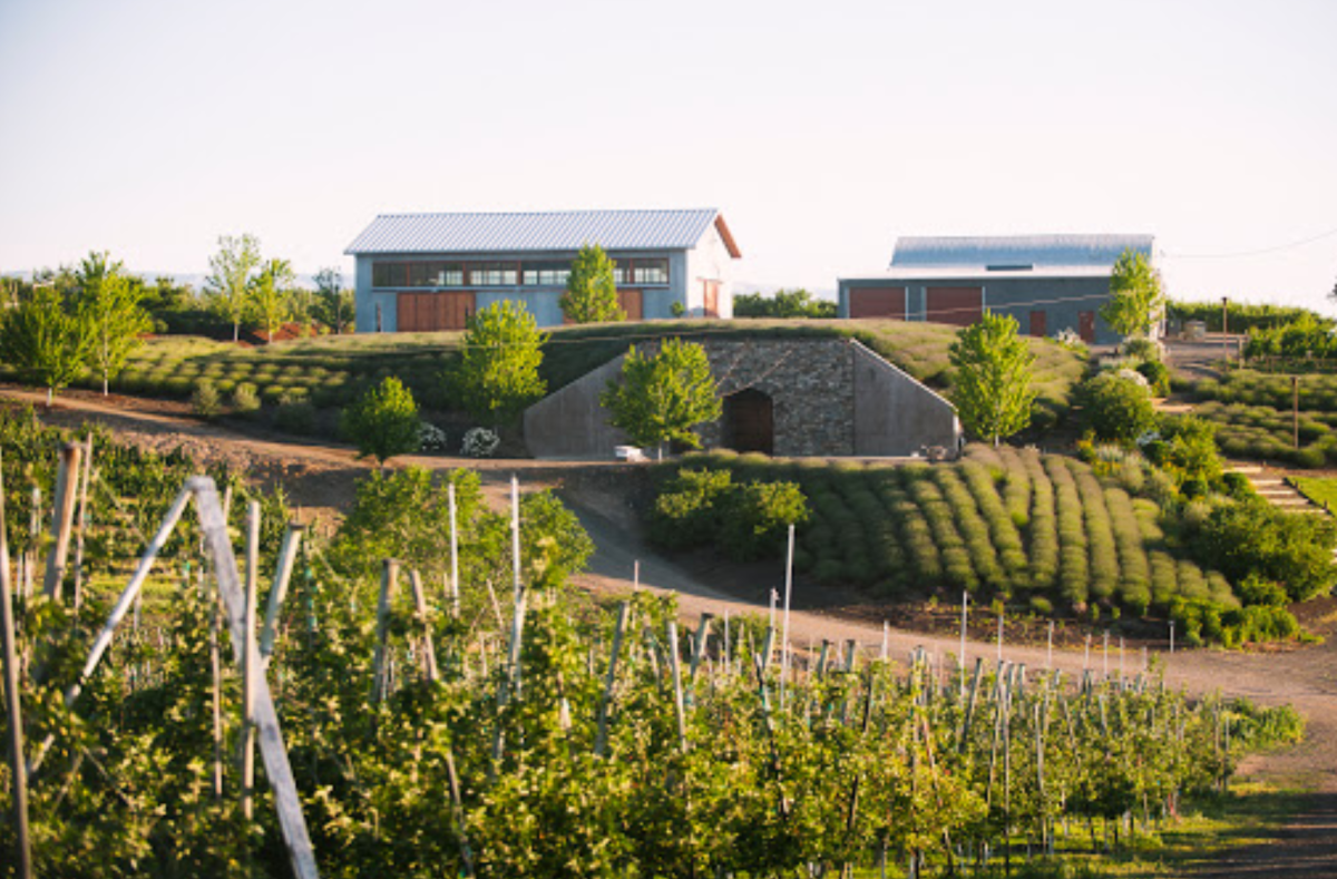 These Destination Wineries In Central Washington Are Amazing
