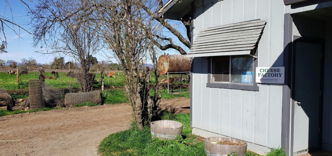 Visit Joe Matos Cheese & Farmstead Co In Northern California