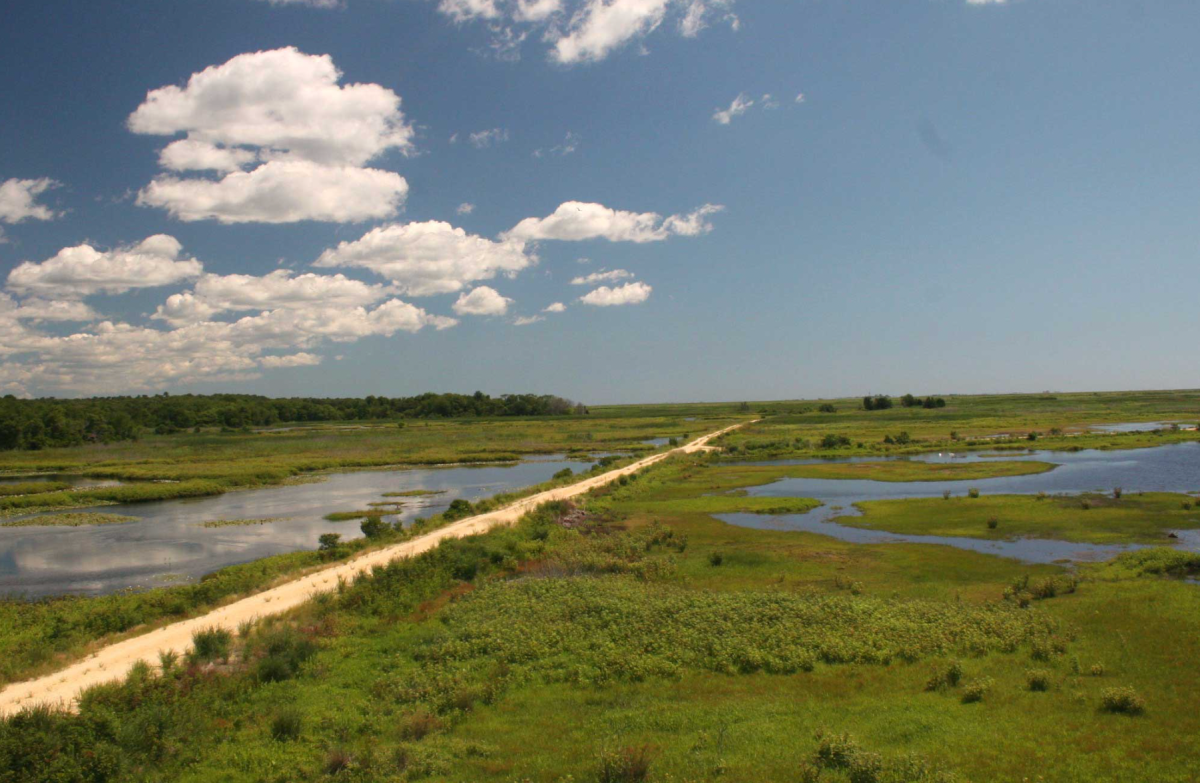 Edwin B. Forsythe NWR Is A Hidden Gem In New Jersey