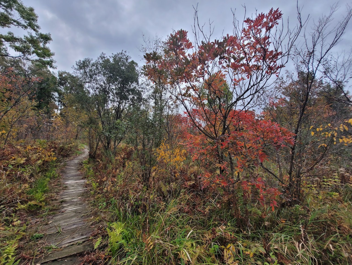 Maher Audubon Is A Hidden Gem Nature Sanctuary In Michigan