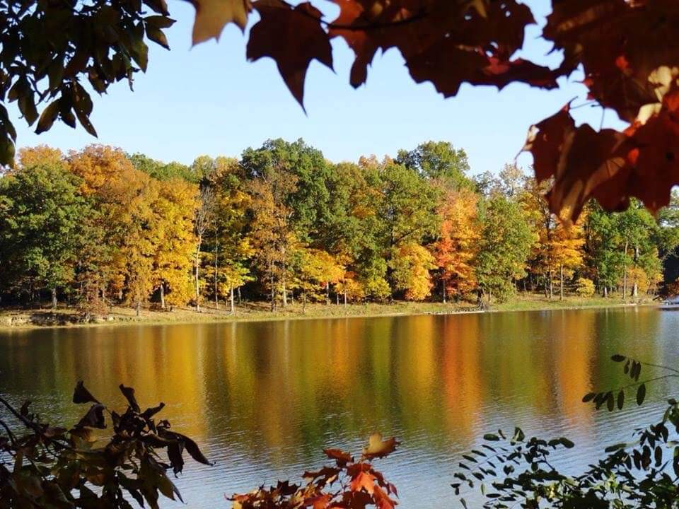 This State Park Is One Of The Best Places For Fall Color In Indiana