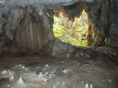 Westcave Preserve In Texas Is Home To A Gorgeous Secret Grotto