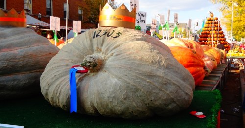The Biggest Book Store In Ohio: The Book Loft