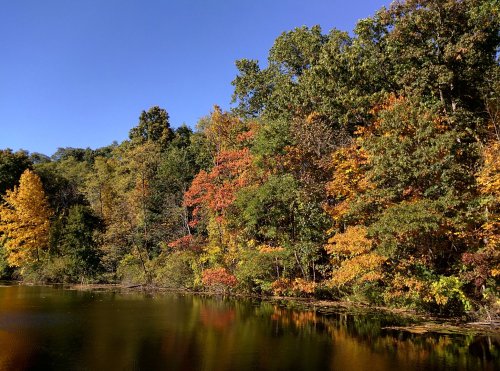 Paint Creek Trail Is Among Best Fall Foliage Hikes In Metro Detroit