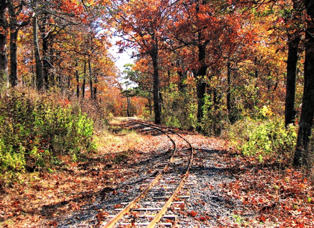 Take A Ride Through Arkansas’ Fall Foliage On The Rich Mountain ...