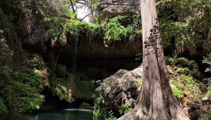Westcave Preserve In Texas Is Home To A Gorgeous Secret Grotto
