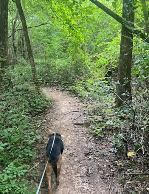Harvest Square Nature Preserve: A Hidden Gem In Alabama