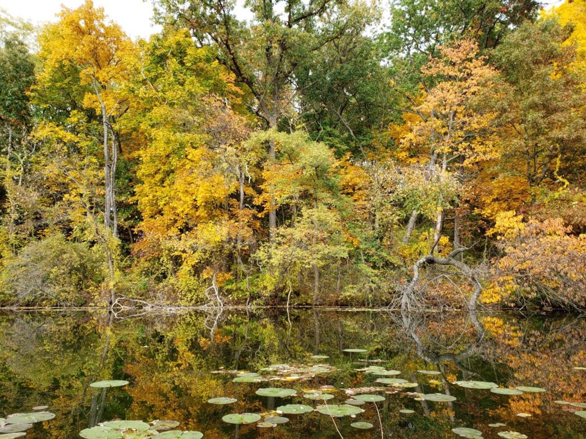 Paint Creek Trail Is Among Best Fall Foliage Hikes In Metro Detroit