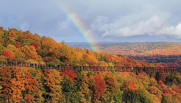 The Skybridge In Michigan Is An Unforgettable Adventure