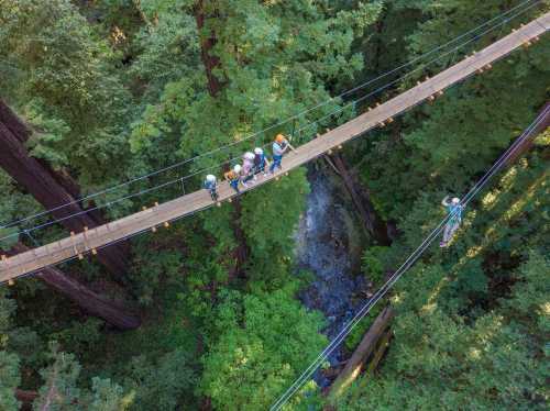 Hike Through The Trees At These Canopy Walks Across America