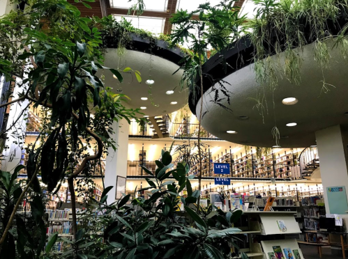 Enter A Secret Garden At The Downtown Reno Library In Nevada