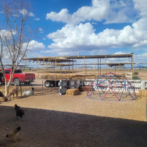 Enjoy A Unique Farm Adventure In Arizona At Superstition Farm