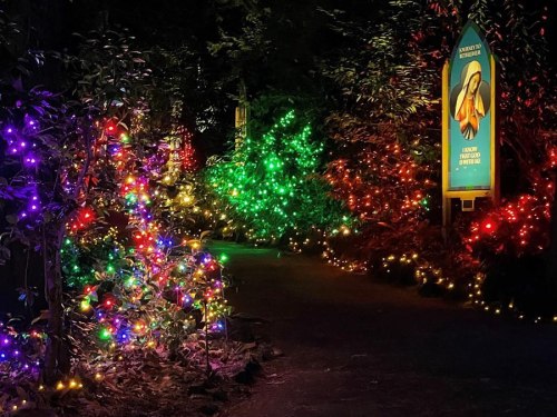 You'll Be Surrounded By Twinkling Lights At The Grotto In Oregon