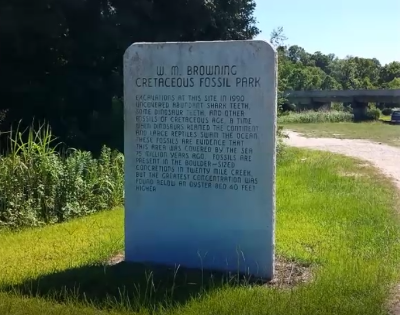 Many Fossils Found In Mississippi Come From This Park
