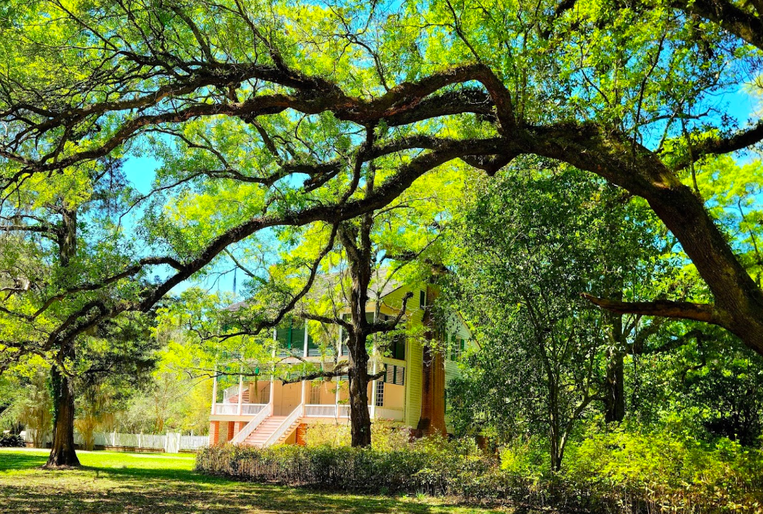 Take A Day Trip To St. Francisville, A Historic Town In Louisiana