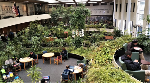 Enter A Secret Garden At The Downtown Reno Library In Nevada