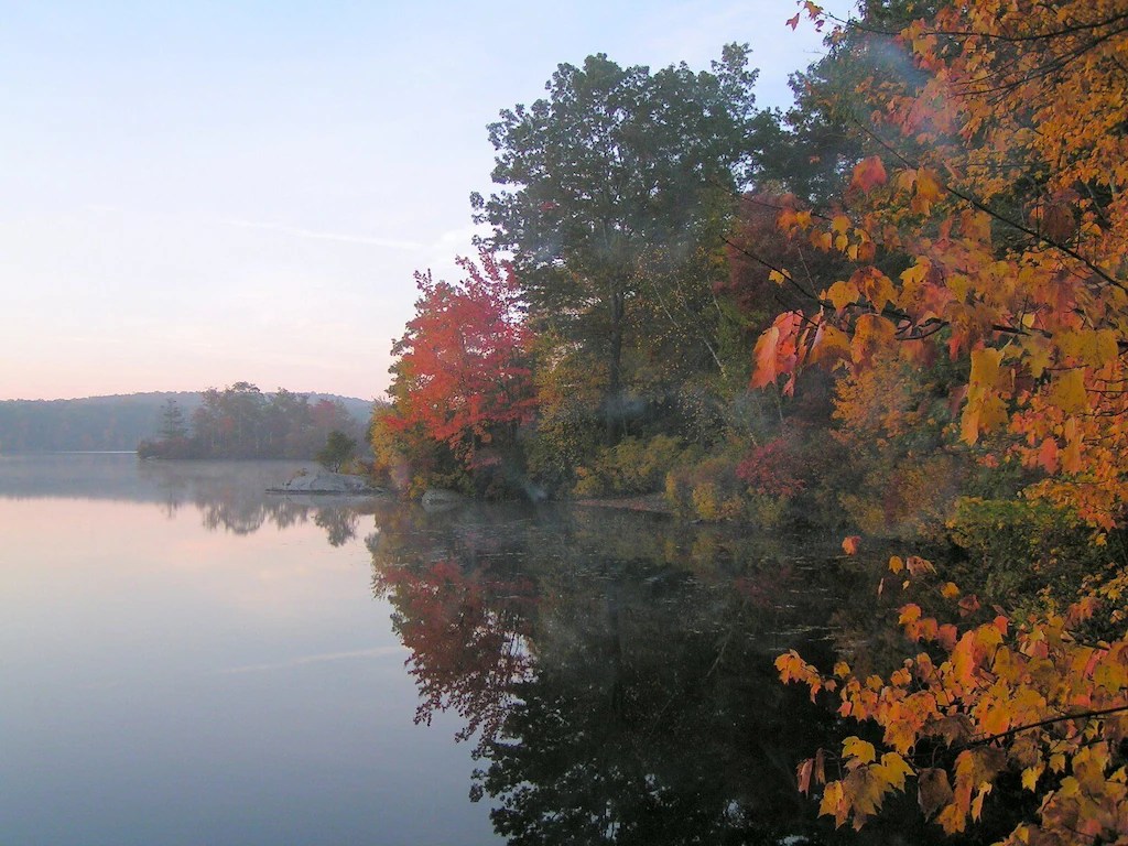 This Epic Vrbo In Connecticut Will Get You Back To Nature