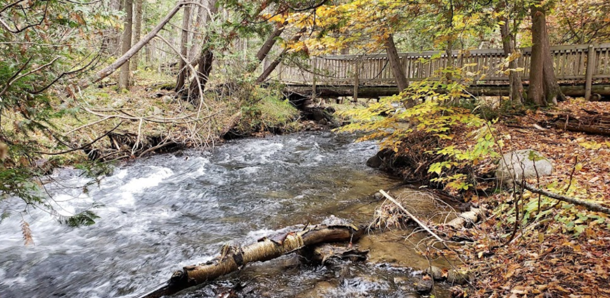 Enjoy A Peaceful Bridge Hike Michigan At This Natural Area