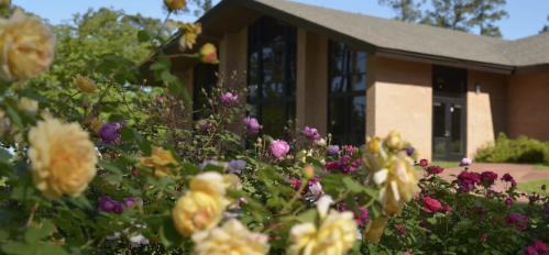 This Rose Garden In Louisiana Is The Largest Of Its Kind