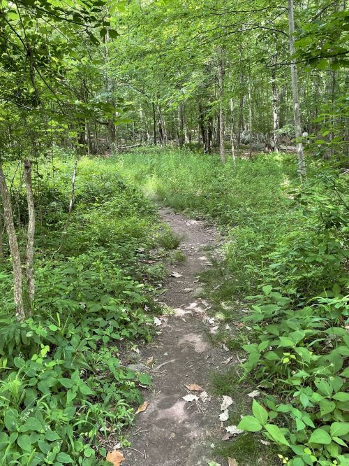 Hike This Little-Known Nature Trail In Rhode Island