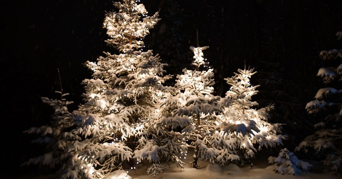Here Are The 11 Most Enchanting, Magical Christmas Towns In Alaska