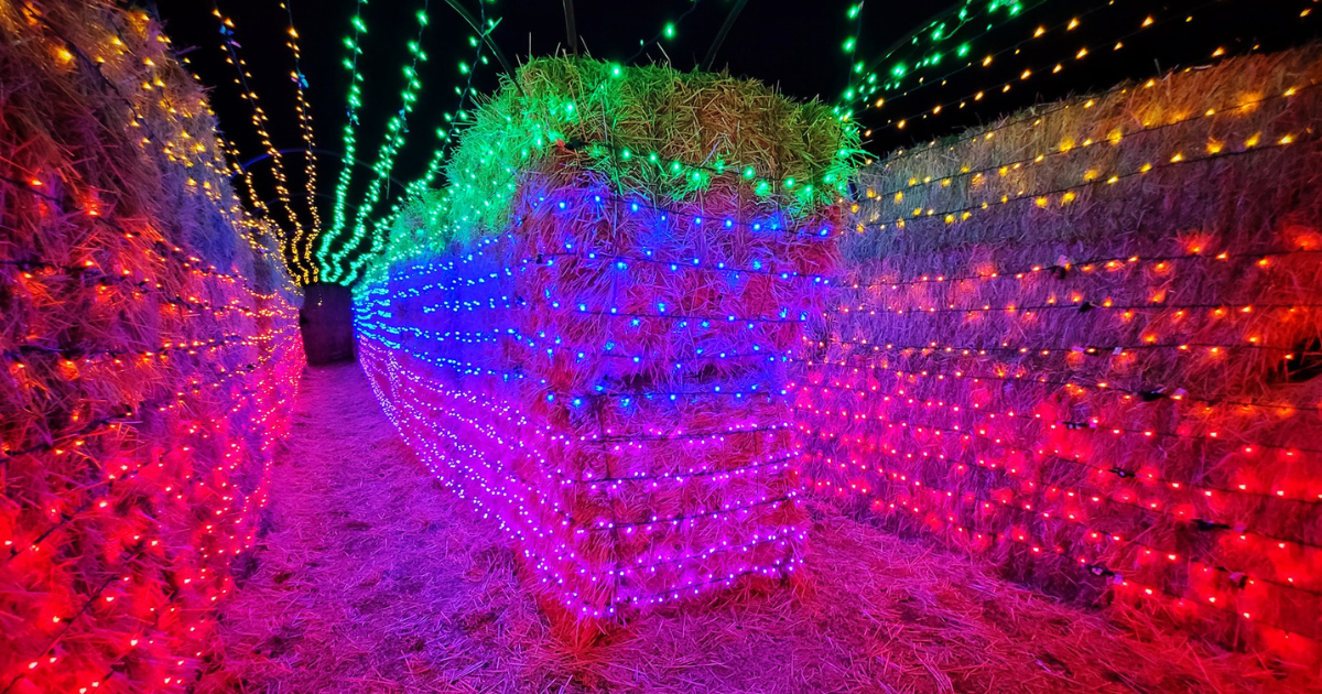 Burley Straw Maze: Christmas Maze In Idaho