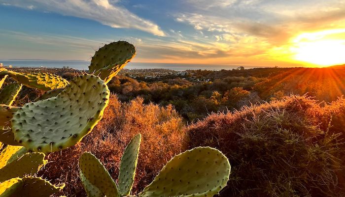 Enjoy 7 Short Hikes With A View In Southern California This Fall