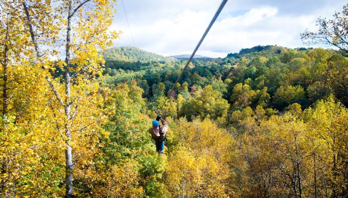 See The Most Stunning Fall Foliage In North Carolina