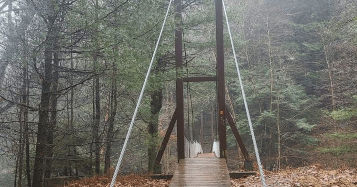 Cross Cook Forest Swinging Bridge On An Epic Adventure