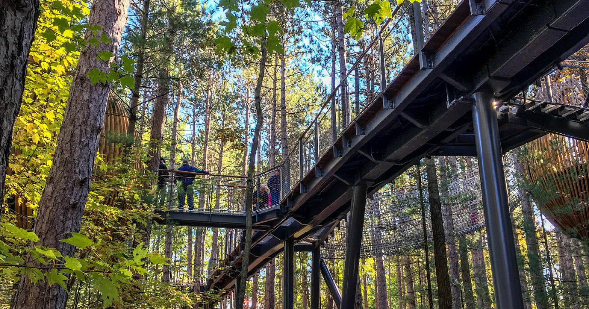 Canopy Walks In Michigan: Scenic And Fun Treetop Adventures