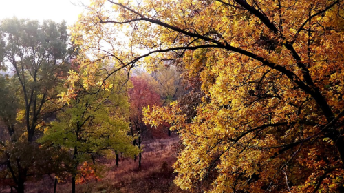 Indian Cave State Park Has The Best Fall Foliage In Nebraska