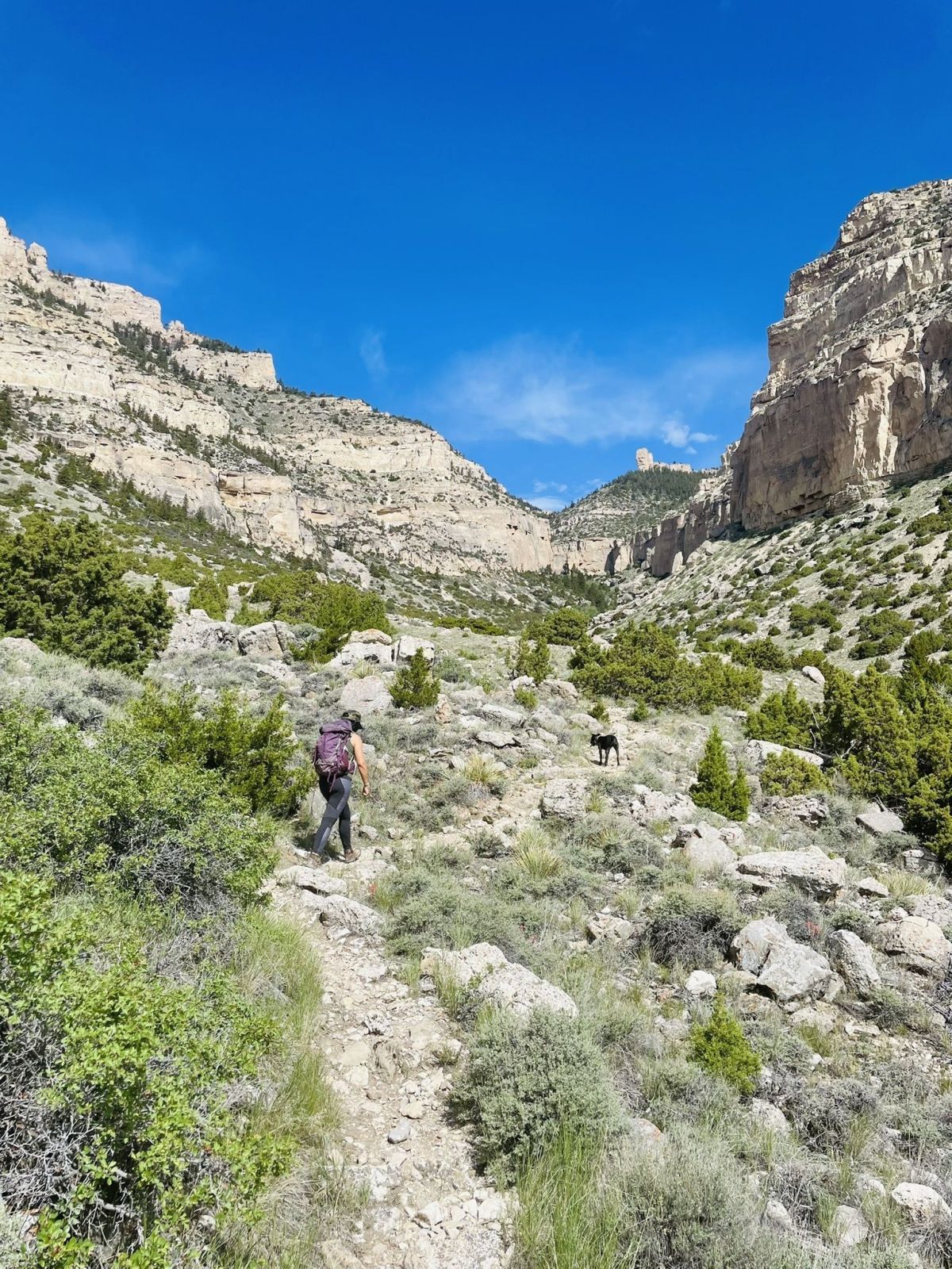 This Nature Trail Is One Of The Best Remote Hikes In Wyoming