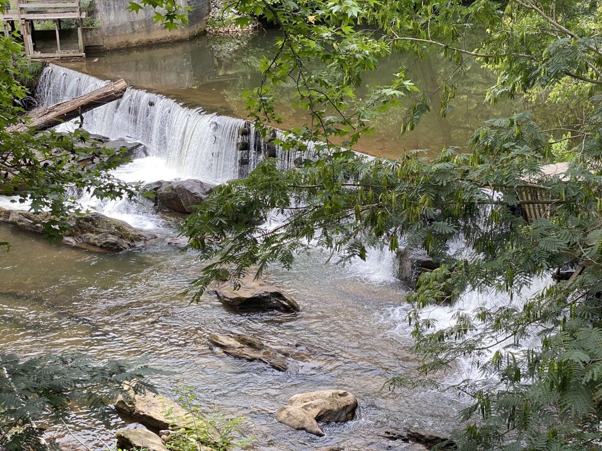 This Beautiful Nature Trail In Georgia Is A Grand Adventure