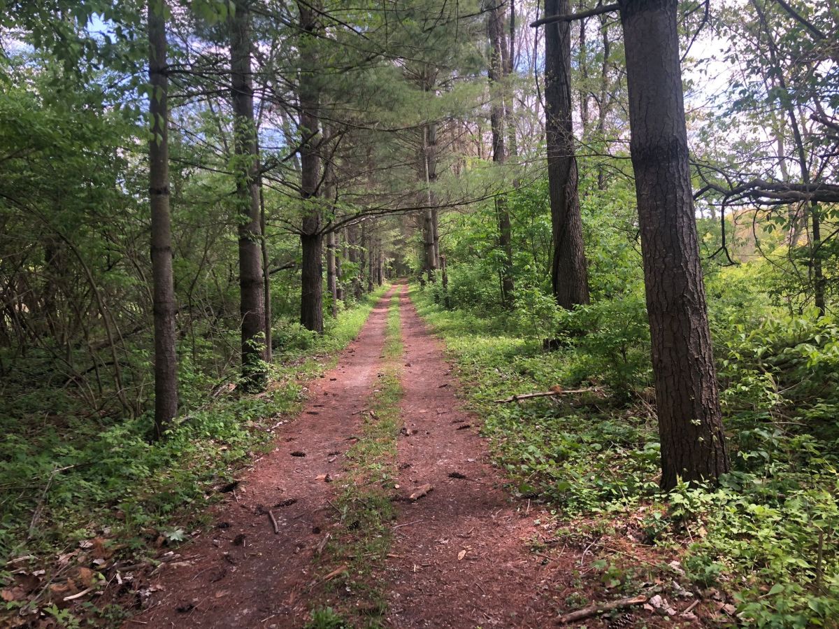 Some Of The Best Hiking In Indiana Is On This Awesome Trail
