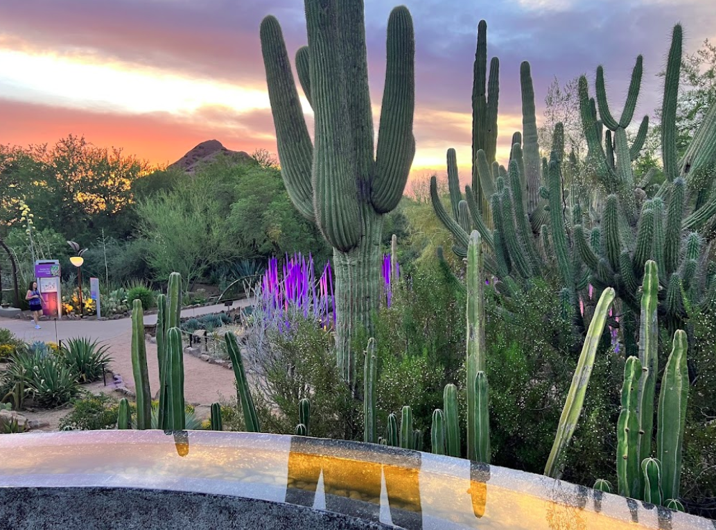 Enjoy Exploring Two Exciting Attractions In Arizona