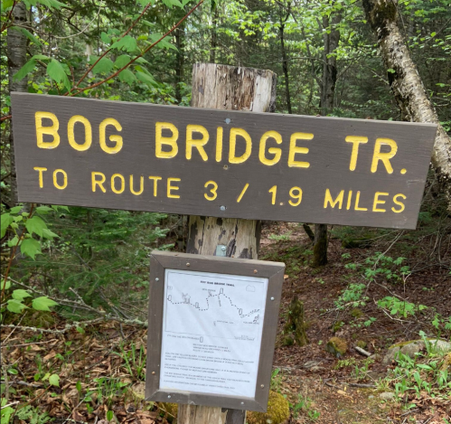 Hike Across Wooden Bridges At This New Hampshire Park