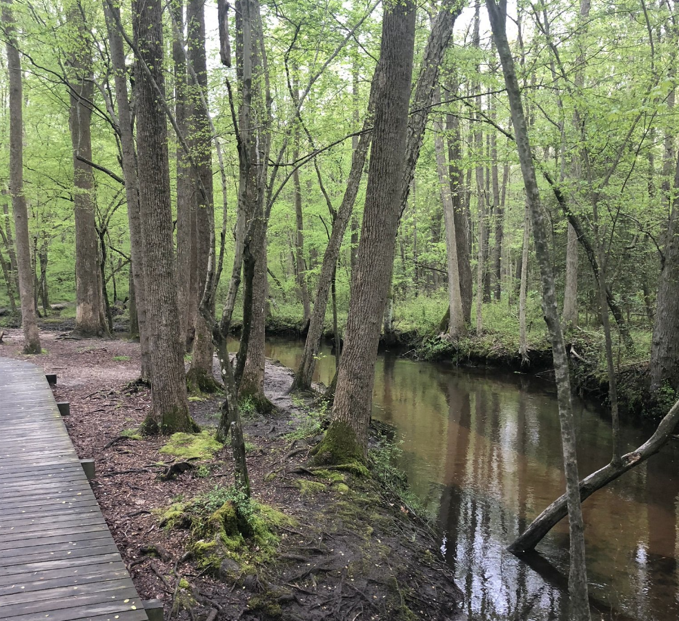 Visit This Little-Known Nature Trail Perfect For Delaware Explorers