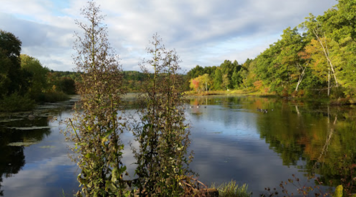This Beautiful Natural Preserve In Connecticut Is A Hidden Gem