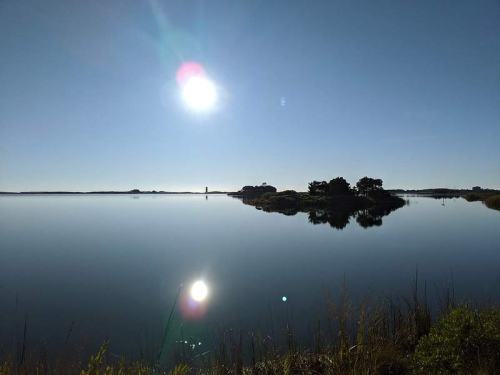 Corpse Lights In Delaware Hide Strange Secrets In This State Park