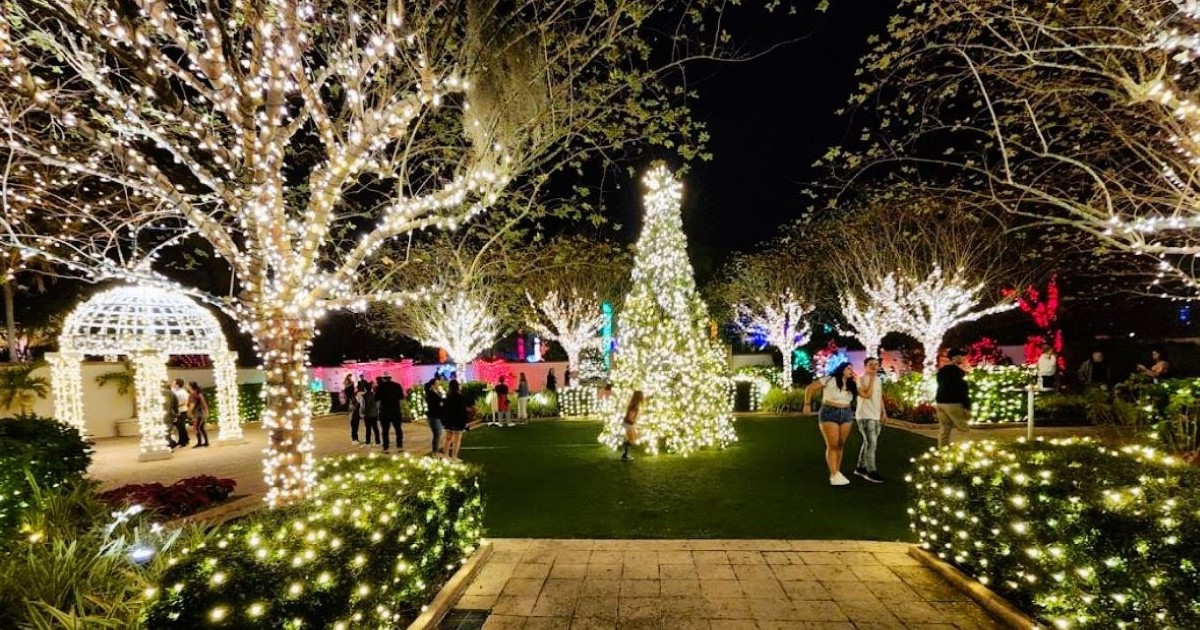 Best Holiday Display: Florida Botanical Gardens Christmas Lights