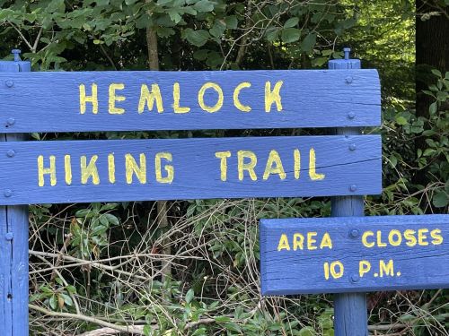 Hike An Old Growth Forest On The Virgin Hemlock Trail In WV