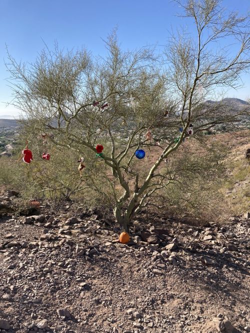 Little-Known Hiking Trails In Arizona At Phoenix Mountain Preserve