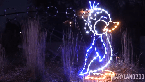 See Animal-Themed Christmas Lights At The Maryland Zoo