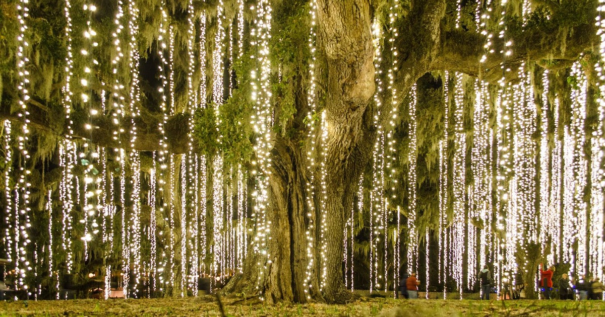The Garden Christmas Light Displays At Brookgreen Gardens In South ...