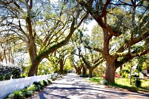 9 Charming Small Towns That Define South Carolina