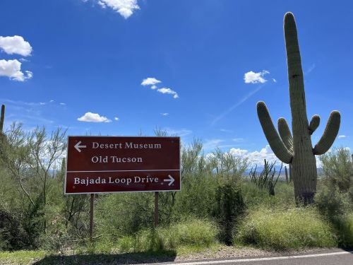 Best Scenic Drives In Arizona: Bajada Loop Drive