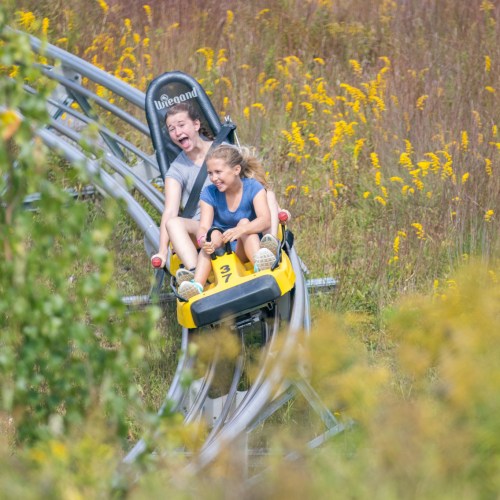 Hit 25 MPH On This Epic New Hampshire Mountain Coaster