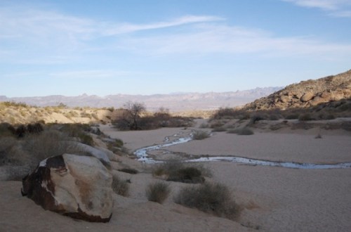 Christmas Tree Pass Is An Unexpected Scenic Drive In Nevada