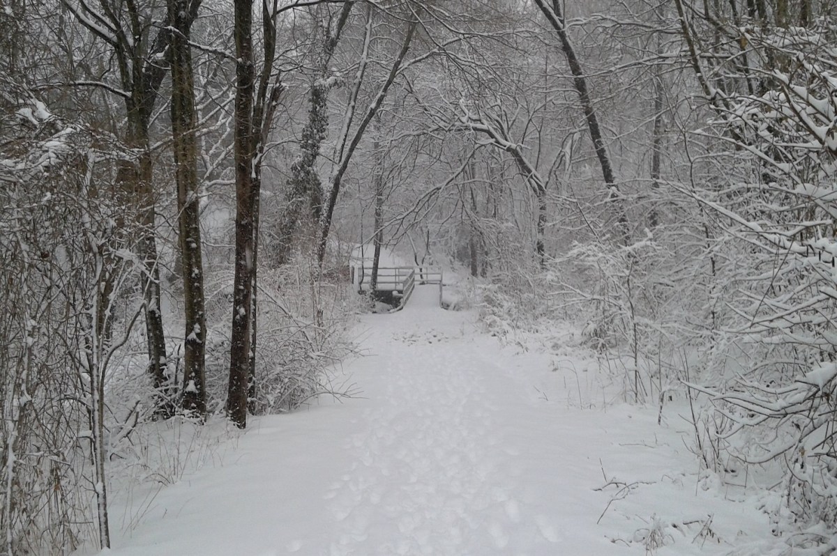 10 Places to Go And Things to Do in Maryland in The Winter