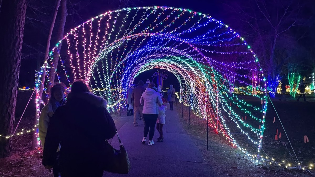 See The Lights Display In Maryland At Annmarie Sculpture Garden